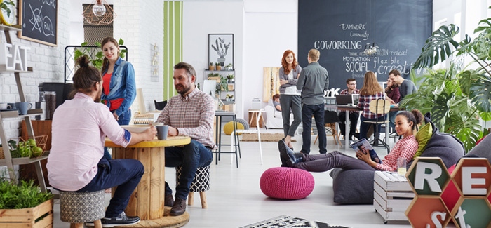 Reasons You Should Consider Working for a Start-Up | Top Universities