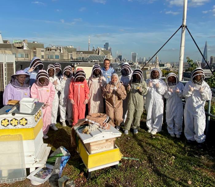 Why LSE is ranked as one of the world’s most sustainable institutions ...