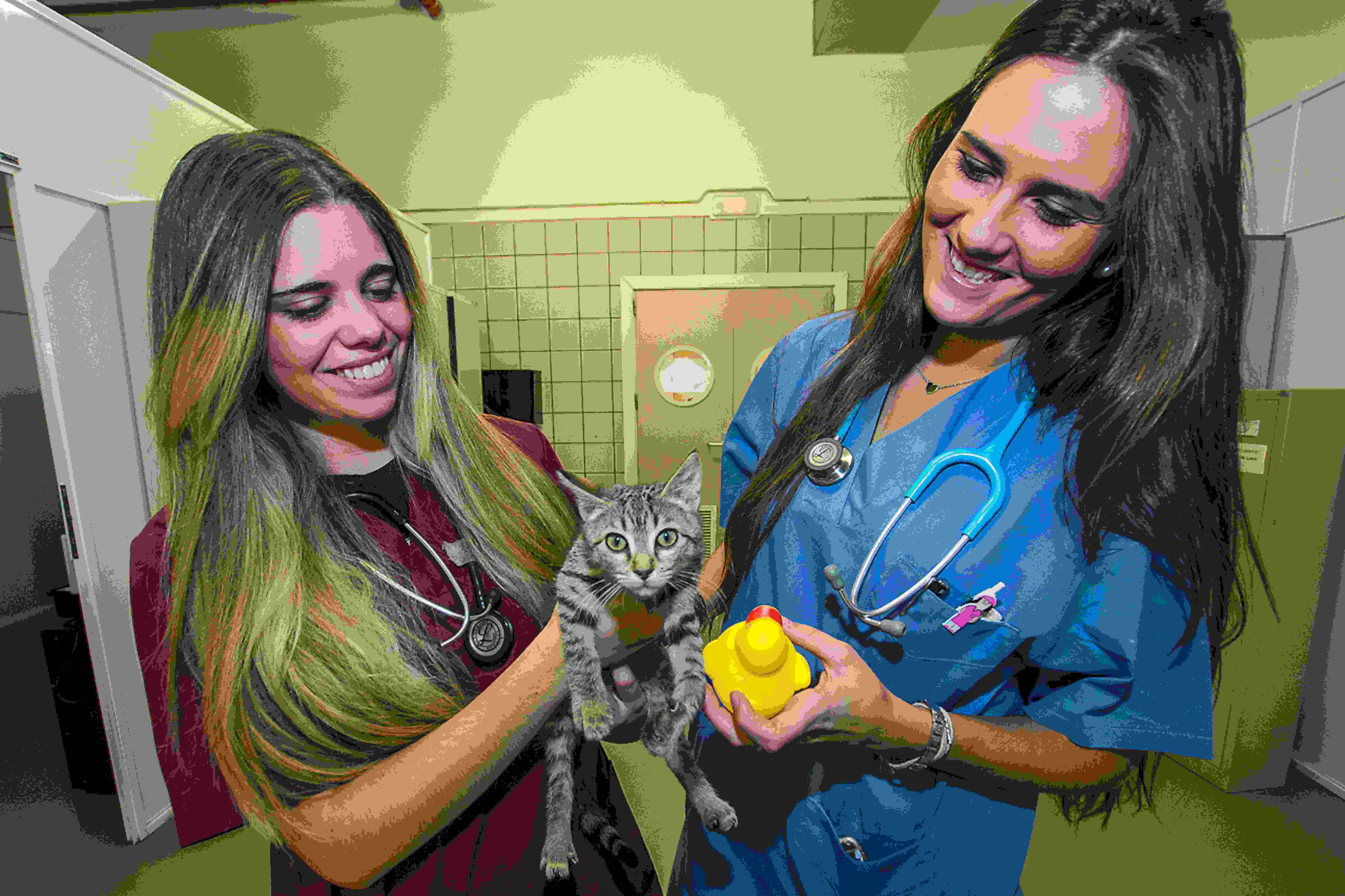 Complutense University of Madrid : Rankings, Fees & Courses Details ...