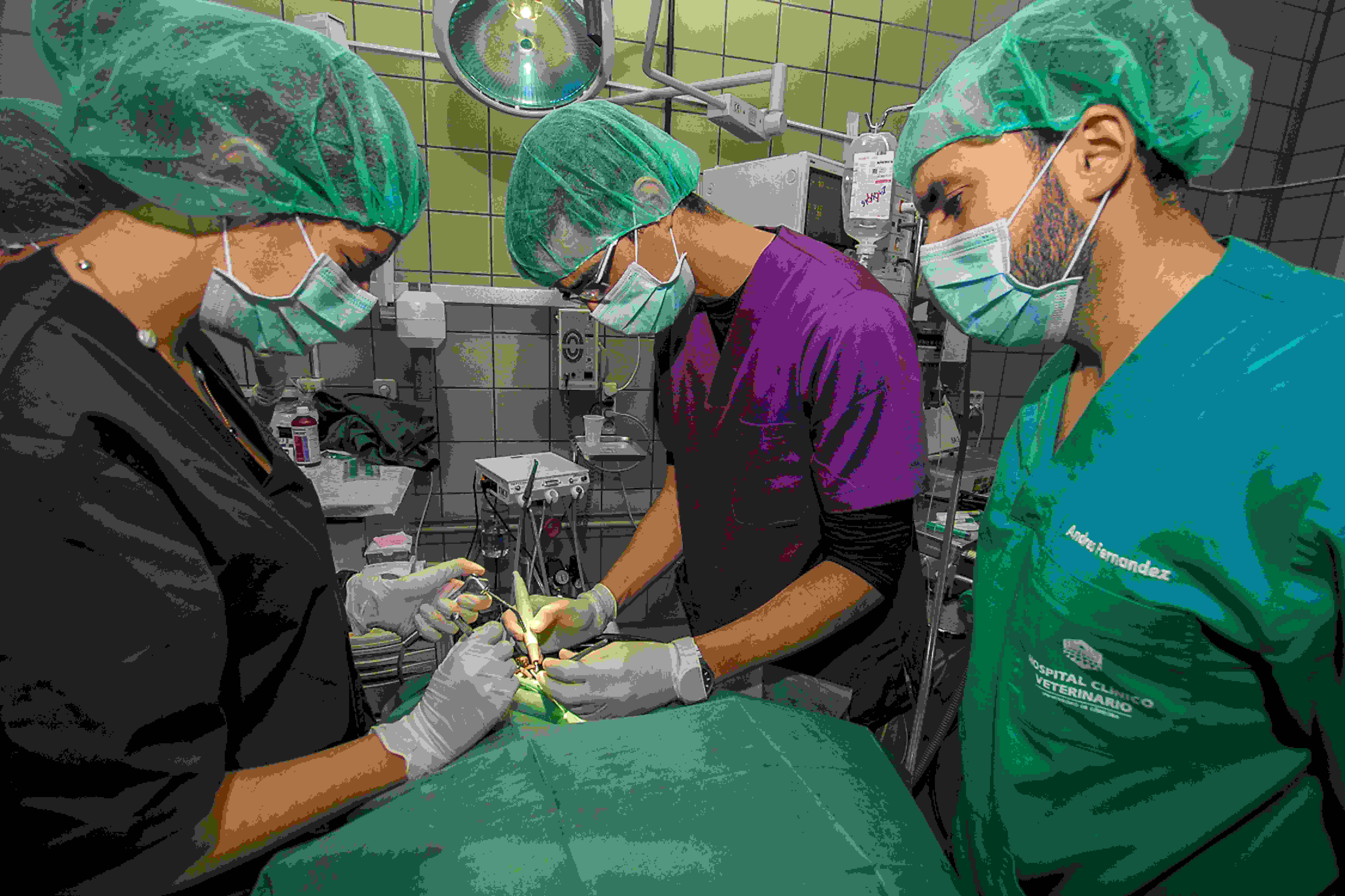 Complutense University of Madrid : Rankings, Fees & Courses Details ...