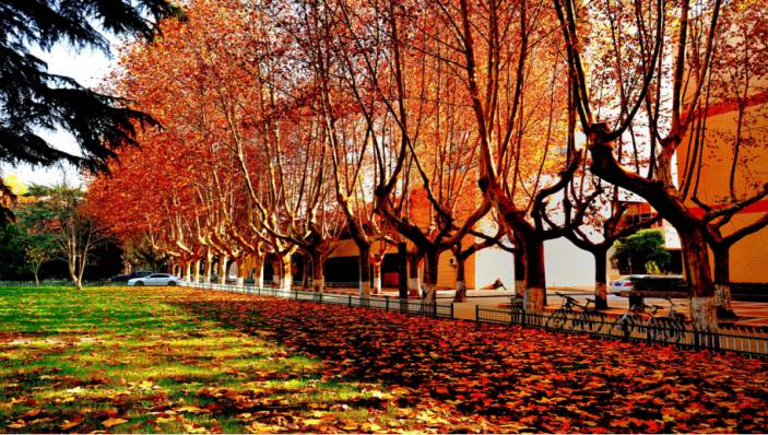 Northwestern Polytechnical University : Rankings, Fees & Courses ...