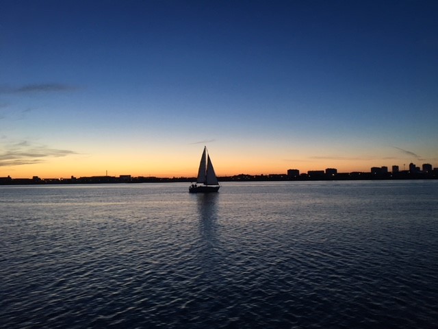 Excelia : Rankings, Fees & Courses Details | Top Universities