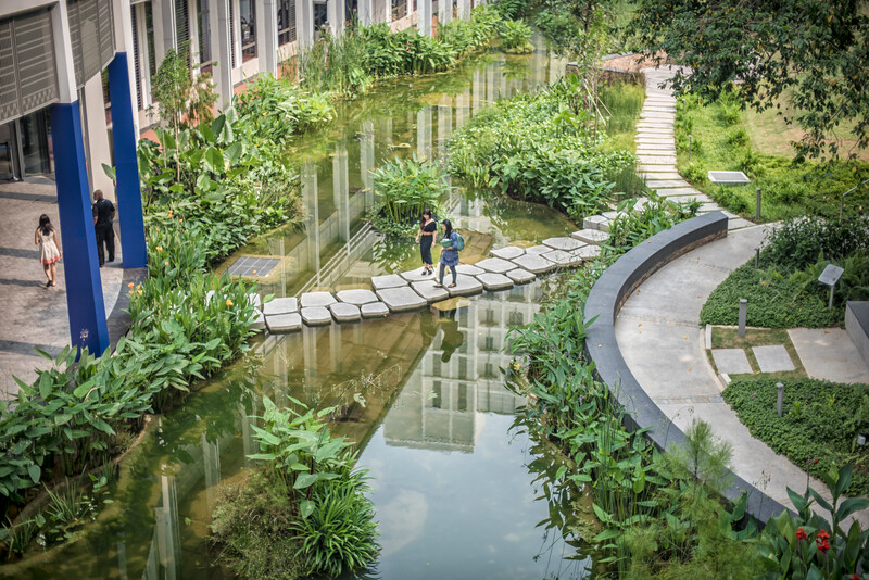 NUS Postgraduate : Rankings, Fees & Courses Details | Top Universities