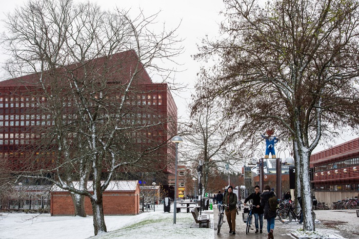 Linköping University : Rankings, Fees & Courses Details | Top Universities