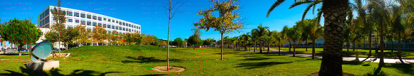 Universitat Politecnica de Valencia : Rankings, Fees & Courses Details ...