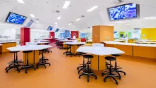 University of Technology Sydney : Rankings, Fees & Courses Details ...