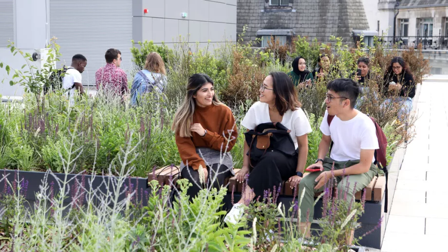 Why LSE is ranked as one of the world’s most sustainable institutions ...