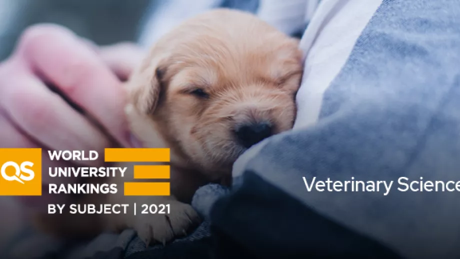 Animal Science Schools In California