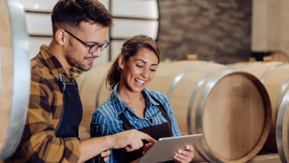 Why is Italy the ideal study destination for a career in wine ...