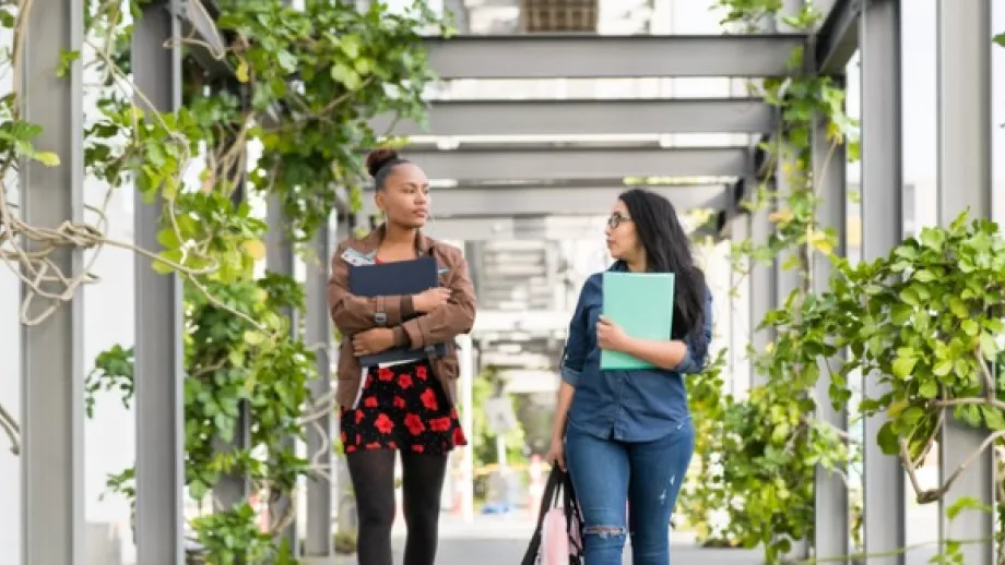 What is a sustainable university and why should you study there? | Top ...