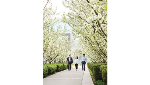 York University - Schulich School of Business | Top Universities